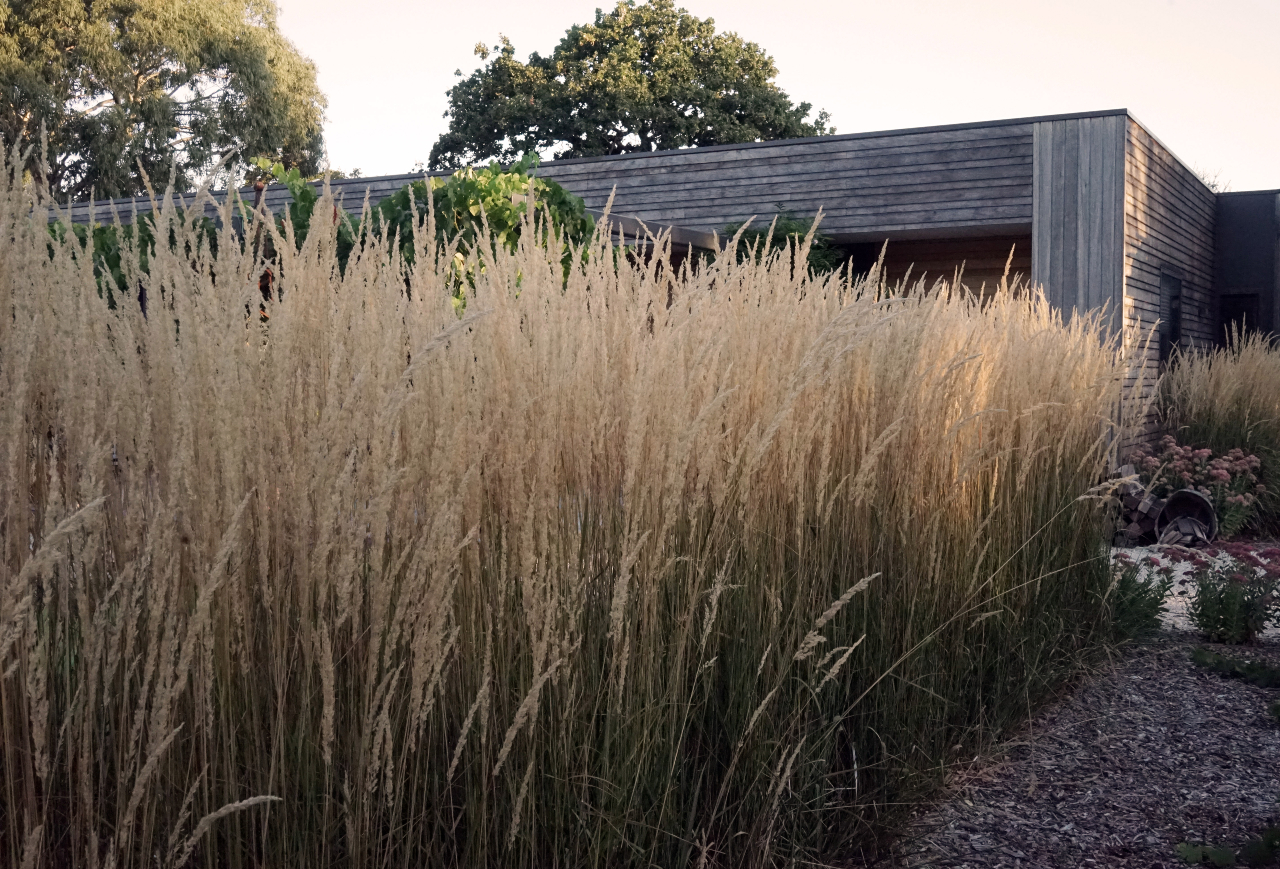 Wedge Street House – Lifehouse Design